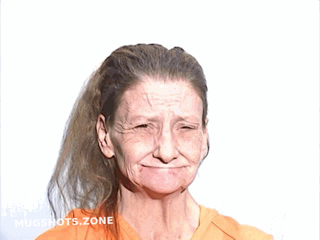 ALLEN PATRICIA 11/24/2025 - Lucas County Mugshots Zone