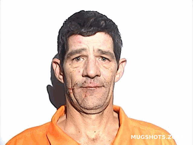 CHITWOOD ROGER THOMAS 11/28/2025 - Lucas County Mugshots Zone