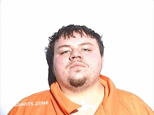 MEACH JOSHUA ALAN 12/24/2025 - Lucas County Mugshots Zone