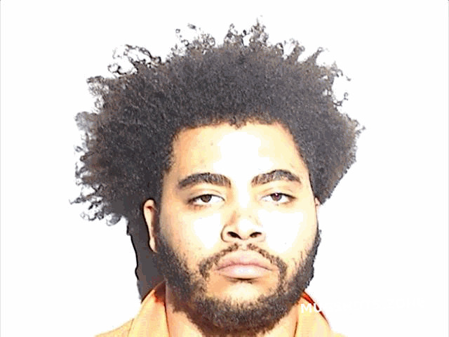 WOODS KAYNE ANTHONY 01/12/2026 - Lucas County Mugshots Zone