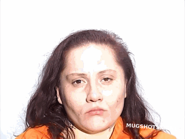 INGRAM ALISSA 01/13/2026 - Lucas County Mugshots Zone