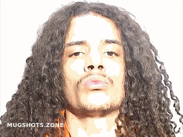 SKIVER DARRYL W 01/13/2026 - Lucas County Mugshots Zone