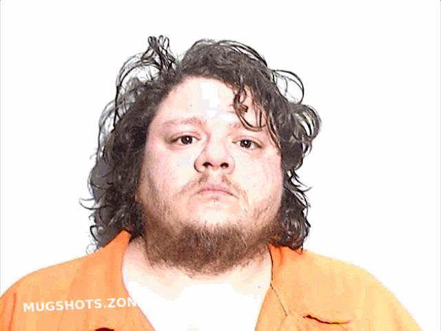 NARVAEZ ANDREW FELIX 01/13/2026 - Lucas County Mugshots Zone