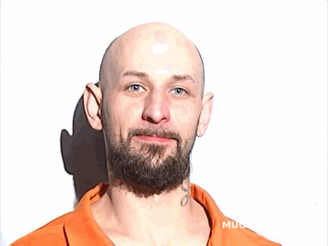 AMBIL BLAKE JORDAN 01/24/2026 - Lucas County Mugshots Zone