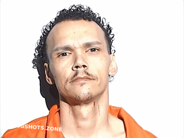 RILEY DAVID DORAN 01/24/2026 - Lucas County Mugshots Zone