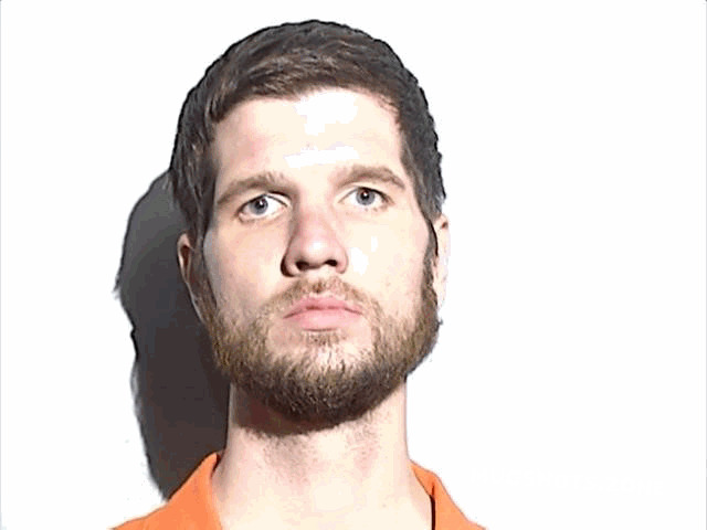 WISE RUSSELL TYLER 01/29/2026 - Lucas County Mugshots Zone