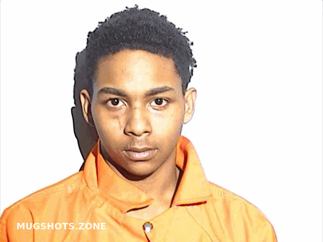 YOUNG SEMAJ LAVELL 01/29/2026 - Lucas County Mugshots Zone