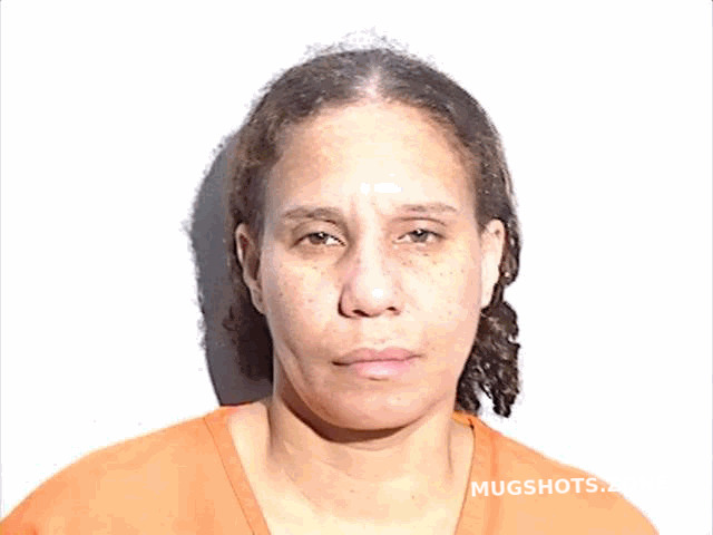 DASHNER KELLY 02/24/2026 - Lucas County Mugshots Zone