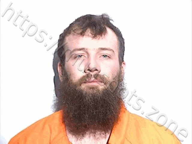 DYER CODY WILLIAM 04/15/2026 - Lucas County Mugshots Zone