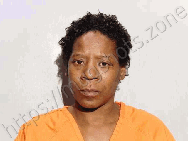 WALKER LATRICE RASHAWN 05/25/2026 - Lucas County Mugshots Zone