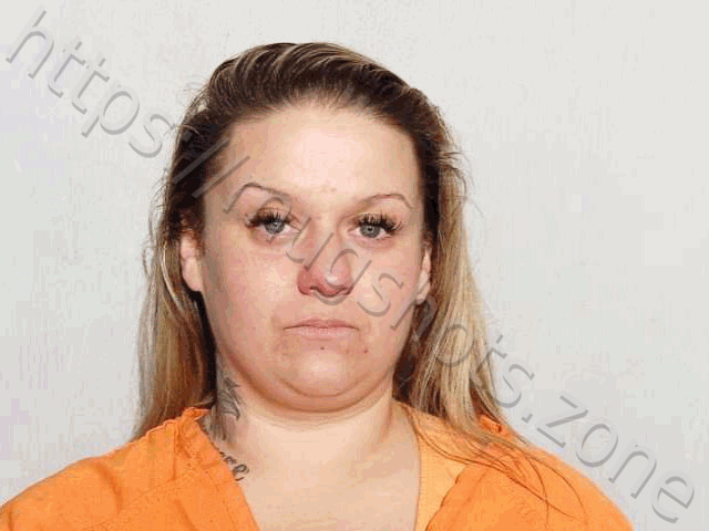 SEIBERS JENNIFER ANN 05/26/2026 - Lucas County Mugshots Zone
