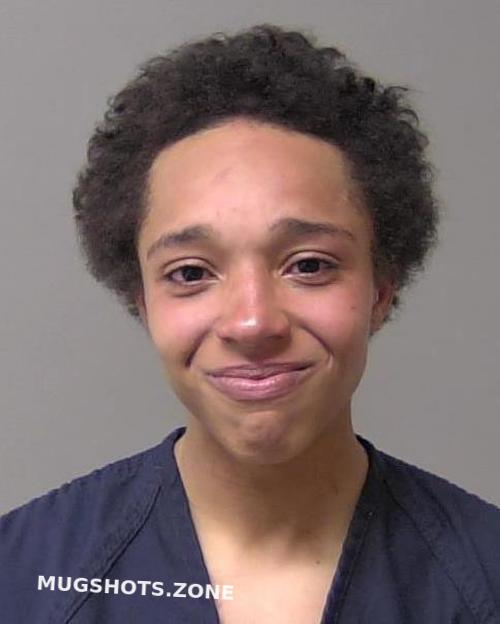OTIS DEZIRE LOVELL 10/24/2022 - Macon County Mugshots Zone
