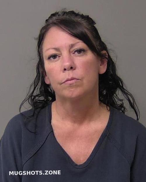 HIGGINS HOLLY MARIE 11/05/2022 - Macon County Mugshots Zone