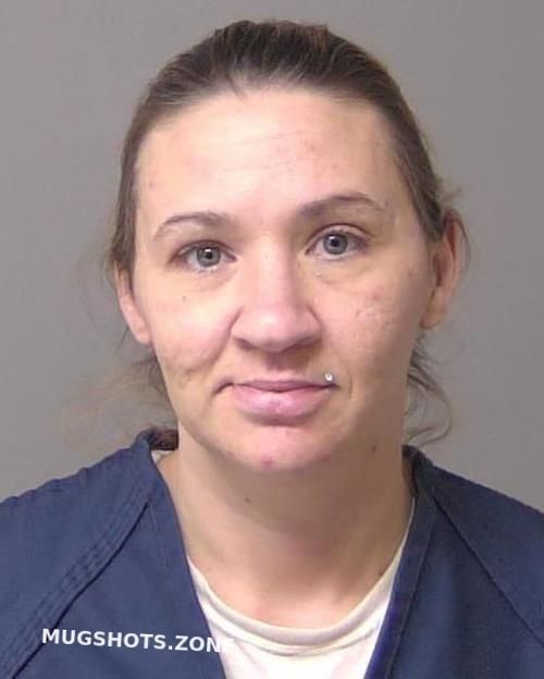 DILLEY MICHELLE DAWN 11/17/2022 - Macon County Mugshots Zone