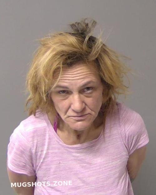 HORN DEBBIE RENEE 03/31/2023 - Macon County Mugshots Zone