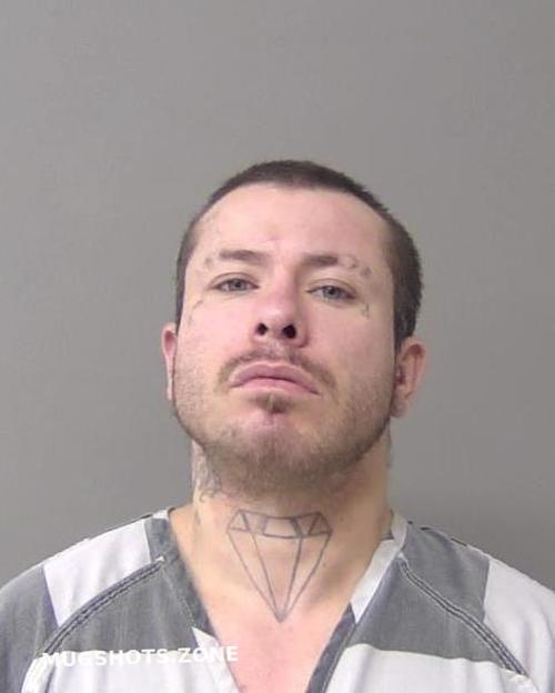HOLLGARTH NICHOLAS JOSEPH 02/03/2024 - Macon County Mugshots Zone