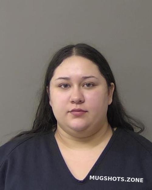 HIGH ANGELENA VICTORIA SUE 02/08/2024 - Macon County Mugshots Zone