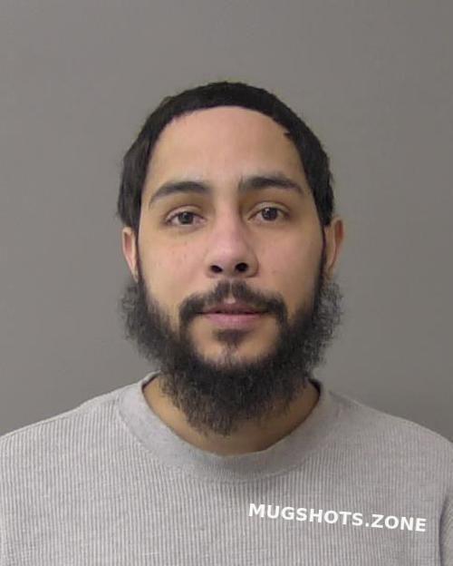 AUSTIN ANDREW LEE 02/11/2024 - Macon County Mugshots Zone