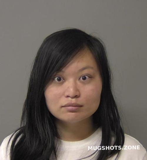 CHEN ADA 02/20/2024 - Macon County Mugshots Zone