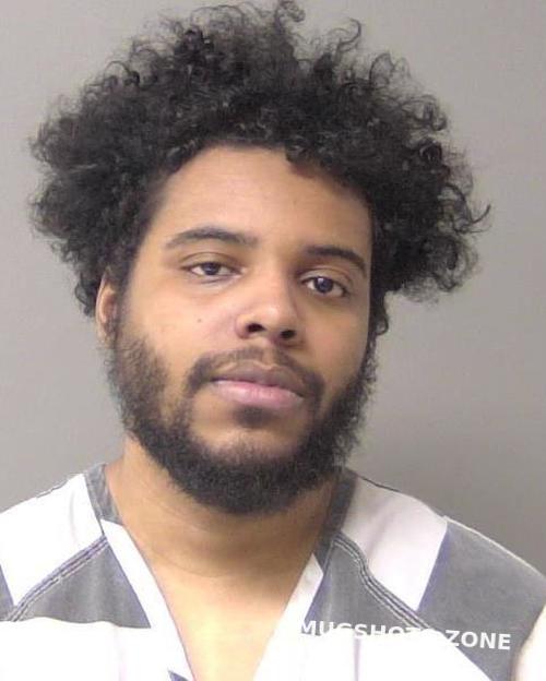 GARRISON-JOHNSON DEVANTE 03/11/2024 - Macon County Mugshots Zone