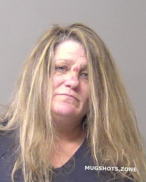 TOWNSEND KRISTI ANN 03/18/2024 - Macon County Mugshots Zone