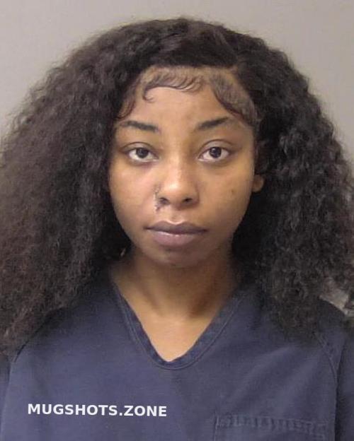 WILLIAMS REYNA MESHELL 08/22/2024 - Macon County Mugshots Zone