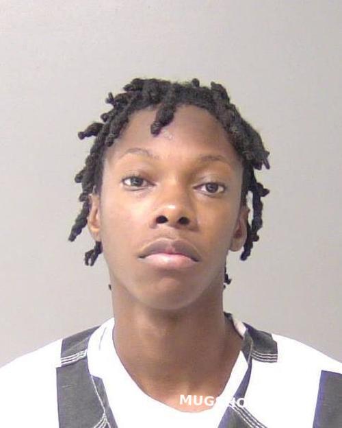 HOWELL ANTHONY GEORGE JUNIOR 08/24/2024 - Macon County Mugshots Zone