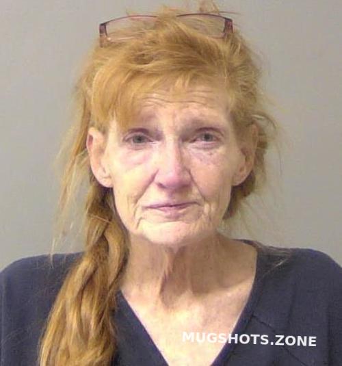 STAUFFENECKER SALLY A 10/10/2024 - Macon County Mugshots Zone