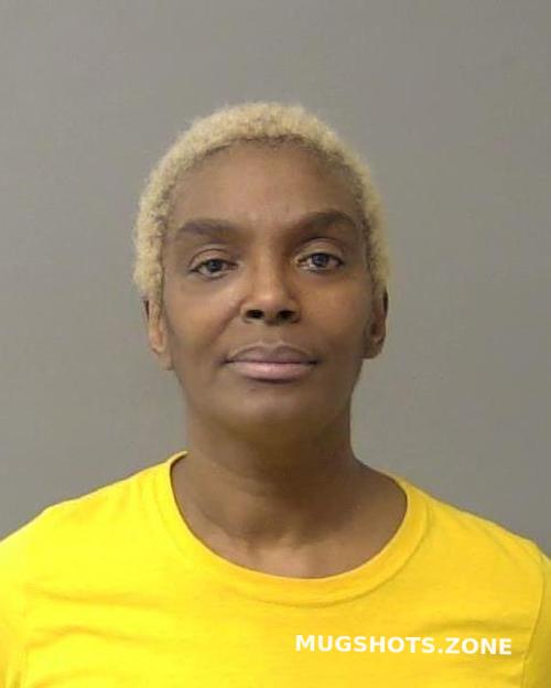 JOHNSON CYNTHIA 02/09/2025 - Macon County Mugshots Zone