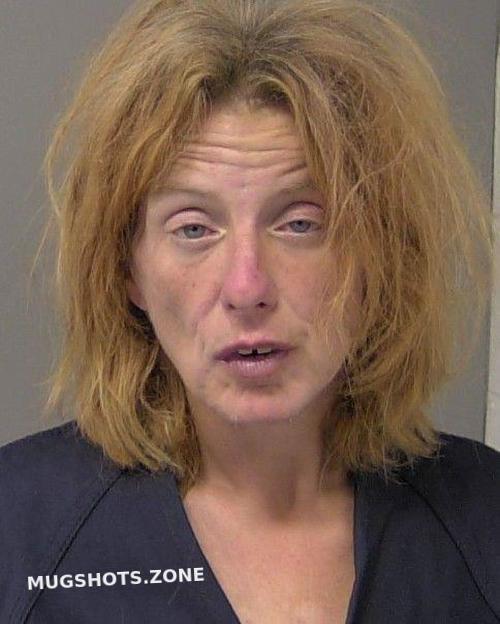 TERRY MINDY LEE 05/27/2025 - Macon County Mugshots Zone