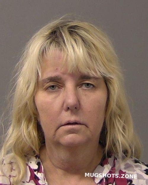 SELLERS STEPHANIE ANN 06/27/2025 - Macon County Mugshots Zone