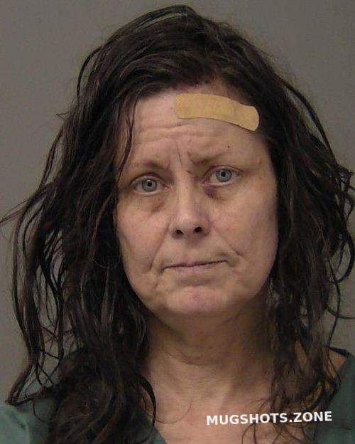 GREEN MICHELLE R 07/13/2025 - Macon County Mugshots Zone