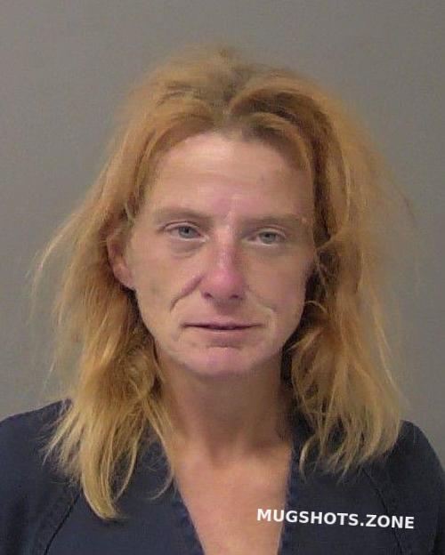 TERRY MINDY LEE 10/14/2025 - Macon County Mugshots Zone