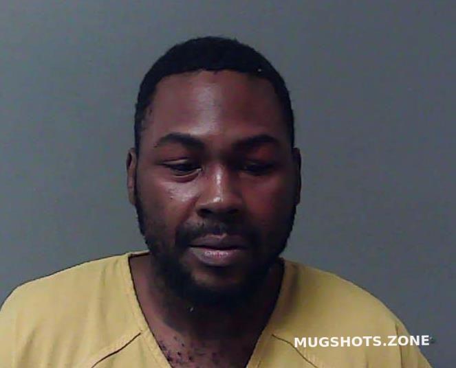 BROWN-WATKINS RANDY TERRELL 10/25/2025 - Macon County Mugshots Zone