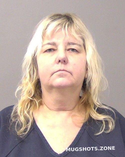 SELLERS STEPHANIE ANN 11/20/2025 - Macon County Mugshots Zone
