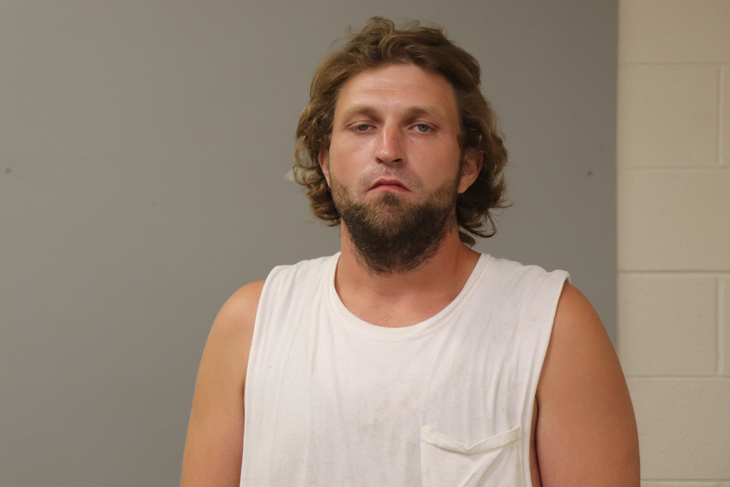 WELCH DANIEL ALAN 09/01/2020 - Madison County Mugshots Zone