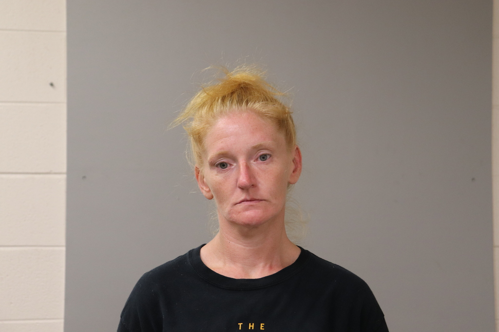 MORRIS TABITHA ANN 09/12/2020 - Madison County Mugshots Zone