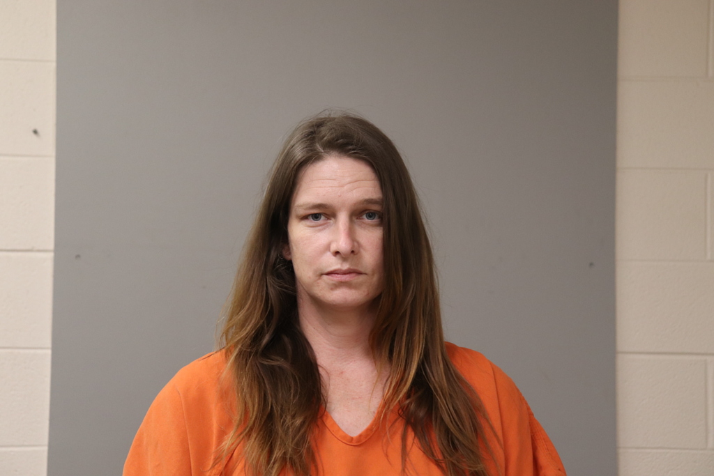 CUSTER MARCIA ANNE 10/15/2020 - Madison County Mugshots Zone