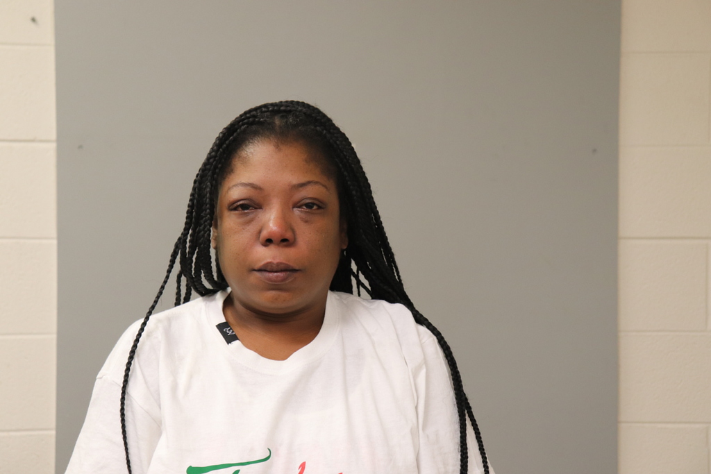 HAMBRICK EMILY SUZANNE 10/18/2020 - Madison County Mugshots Zone