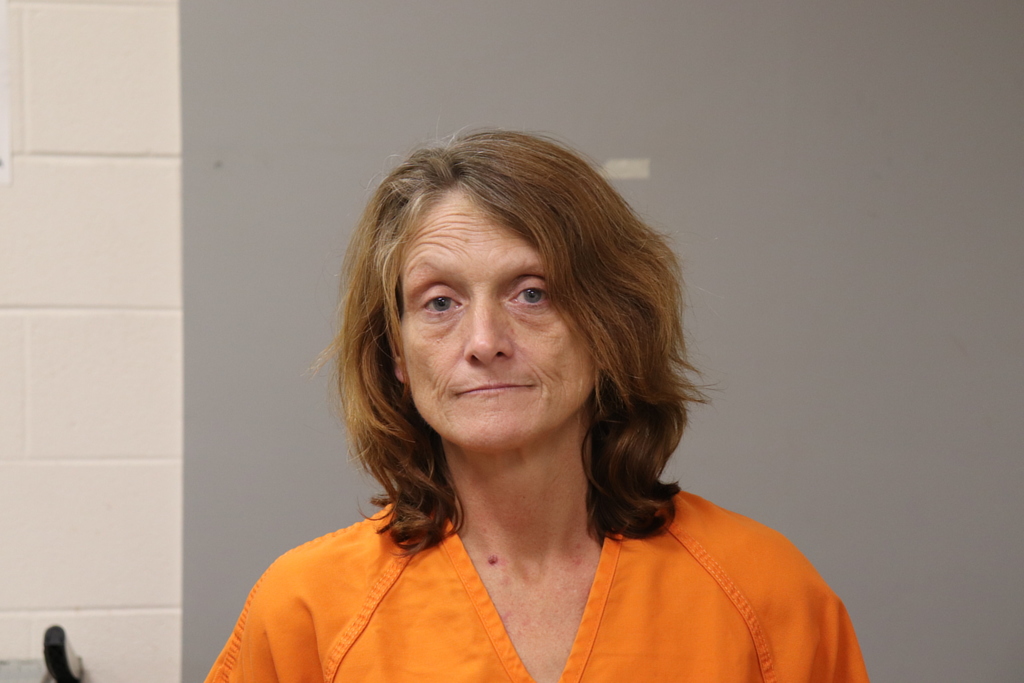 HARBIN SUSAN LYNN 10/24/2020 - Madison County Mugshots Zone