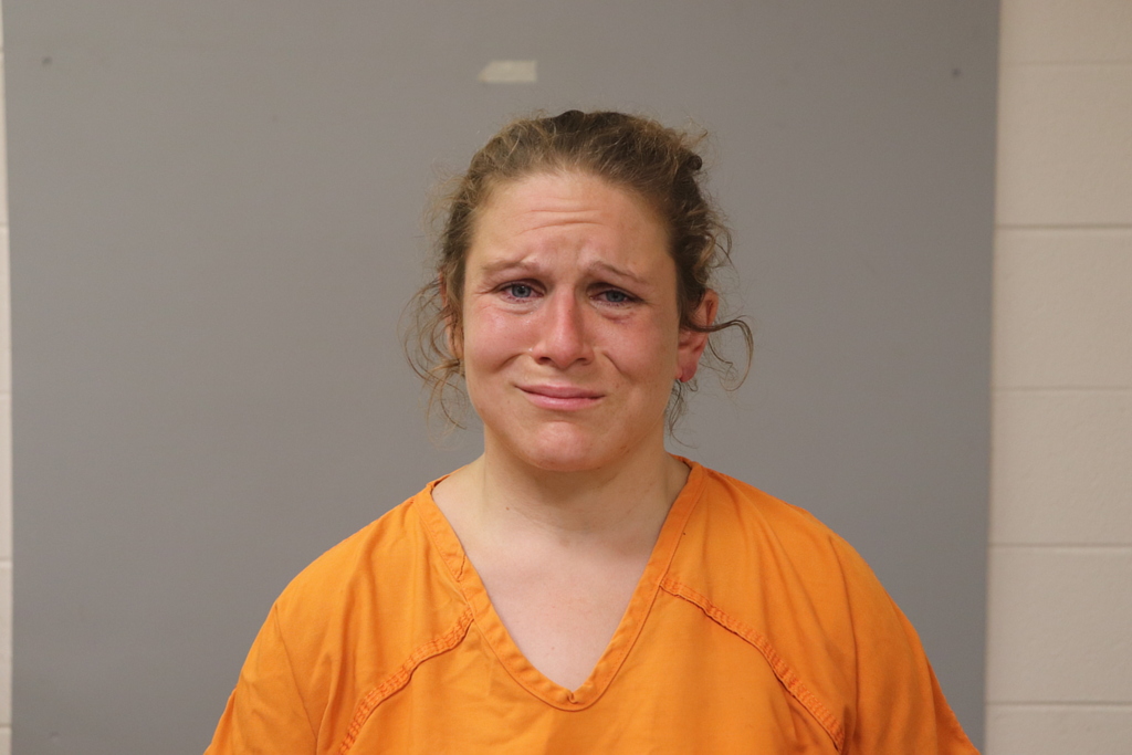 Collier Mary Helen 10 25 2020 Madison County Mugshots Zone