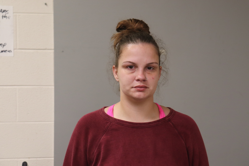 TOWNE MICHELE DIANE 10/25/2020 - Madison County Mugshots Zone