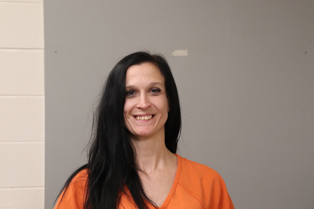 FINKLEA LYNETTE NICOLE 10/28/2020 - Madison County Mugshots Zone
