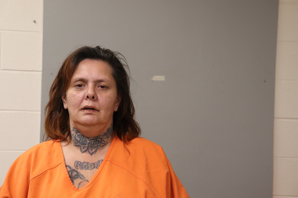 SPEEGLE SONJA MARIA 11/01/2020 - Madison County Mugshots Zone