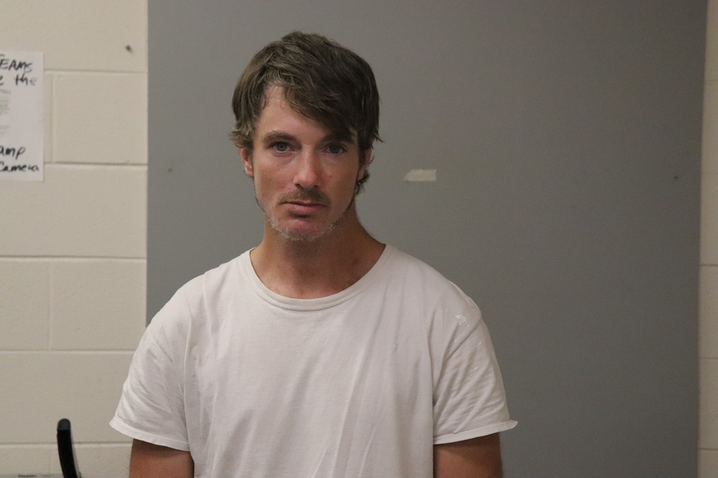 GREEN CHRISTOPHER LEE 11/05/2020 - Madison County Mugshots Zone