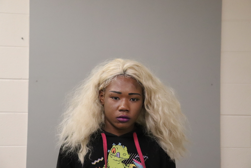 APPLETON SHANNON MARIE 11/05/2020 - Madison County Mugshots Zone