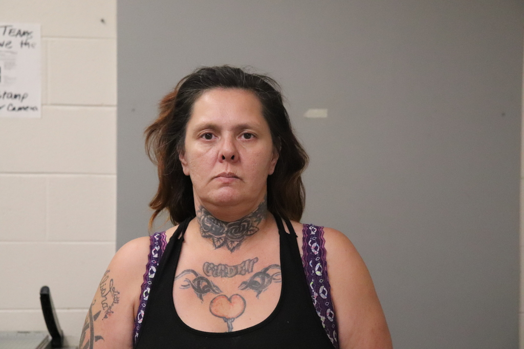SPEEGLE SONJA MARIA 11/06/2020 - Madison County Mugshots Zone