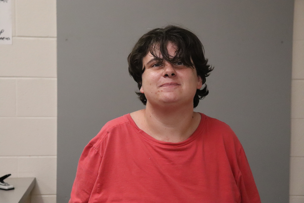 BYROM HEATHER CHRISTINE 11/11/2020 - Madison County Mugshots Zone