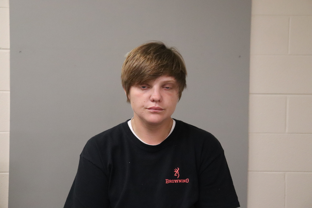 HOBBS APRIL RAYE 11/14/2020 - Madison County Mugshots Zone