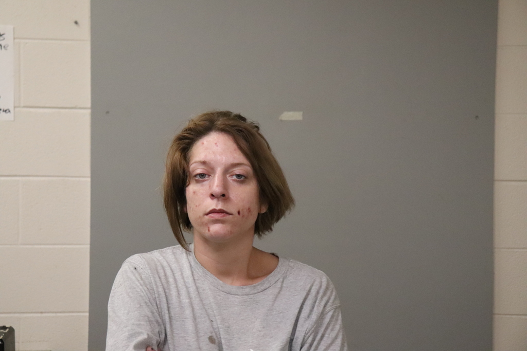 BARBER SUZI JEAN 11/14/2020 - Madison County Mugshots Zone
